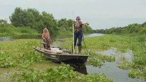 Swamp People Season 17 (2026) | Release Date & Episode Guide