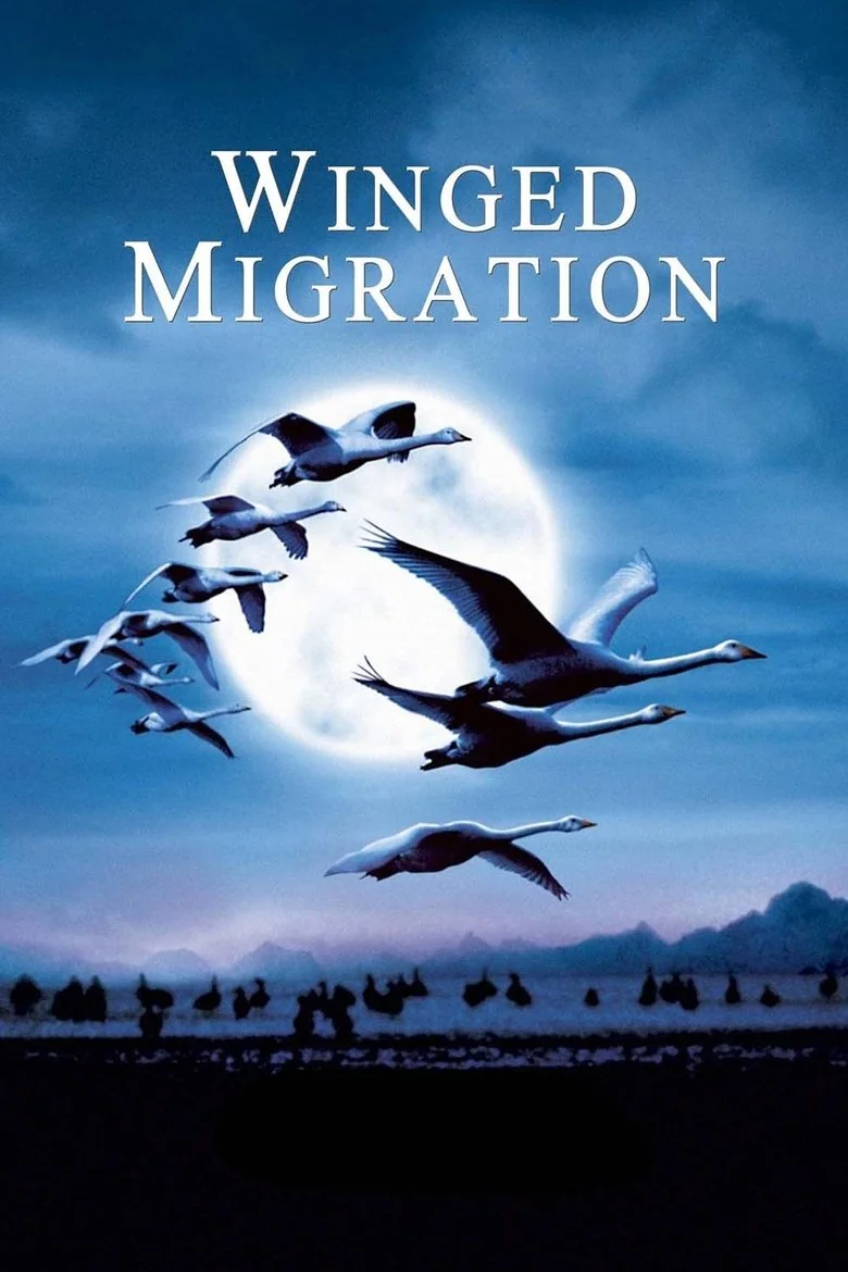 Winged Migration (2001) Streaming & VOD Release Date