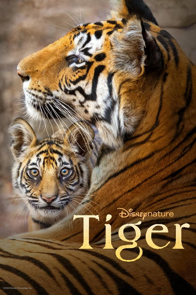 Tiger (2024) Streaming & VOD Release Date