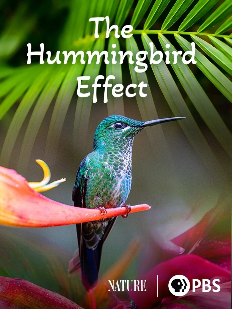 The Hummingbird Effect (2023) Streaming & VOD Release Date