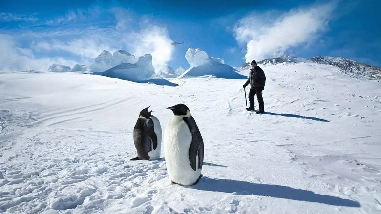 Antarctica: A Year on Ice (2013) Streaming & VOD Release Date