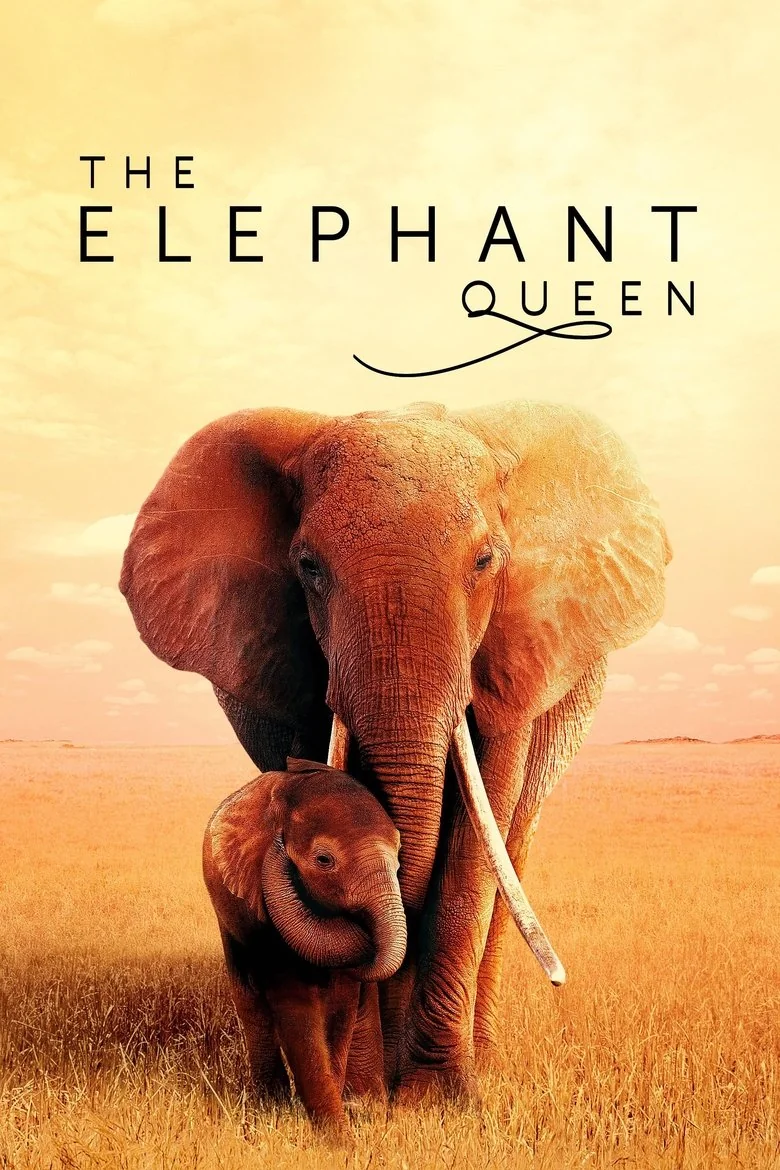 The Elephant Queen (2019) Streaming & VOD Release Date