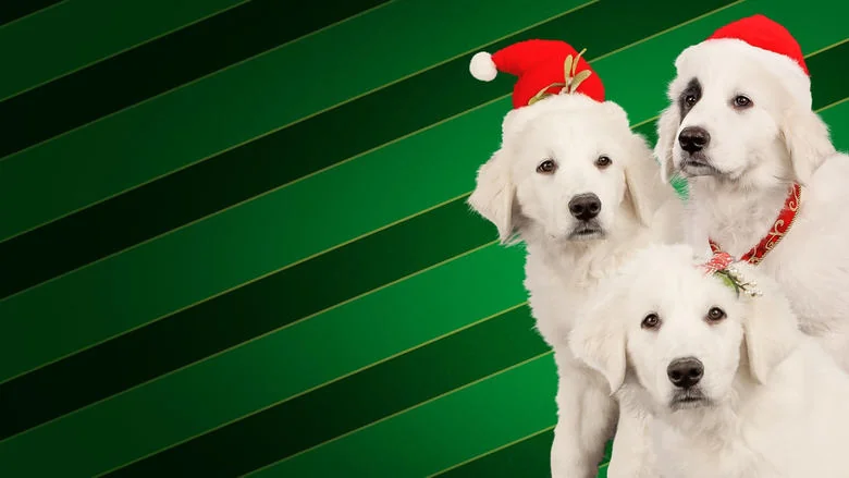 Santa Buddies (2009) - Full Cast & Crew List | Bingebase