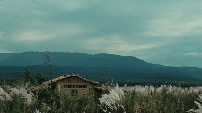 Roid (2026) Streaming & VOD Release Date