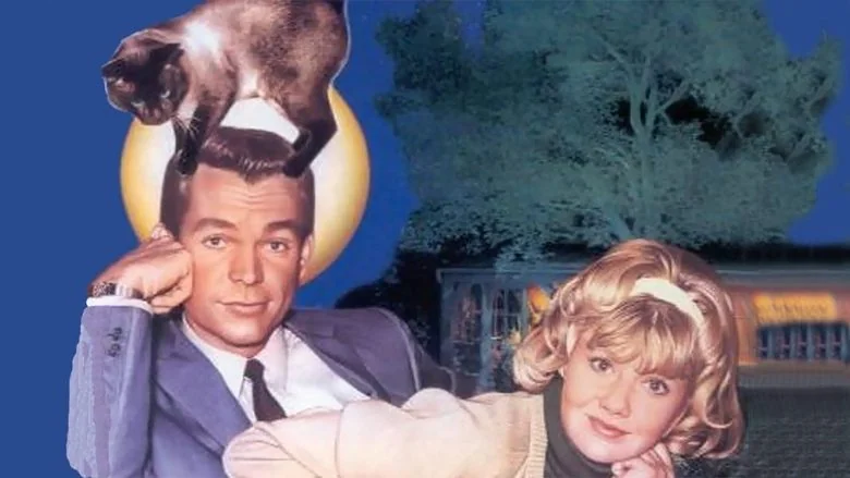 That Darn Cat! (1965) Streaming & VOD Release Date