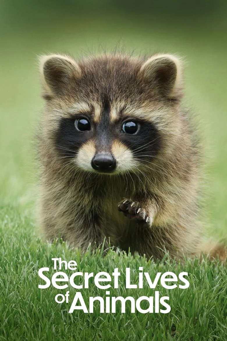 The Secret Lives of Animals Season 1 (2024) | Release Date & Episode Guide
