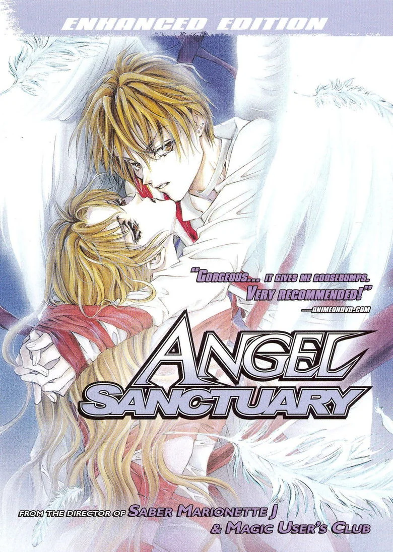 Angel Sanctuary Next Season Release Date & Streaming Info