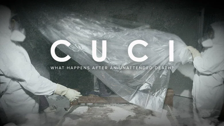 Cuci Season 2 (2026) | Release Date & Episode Guide