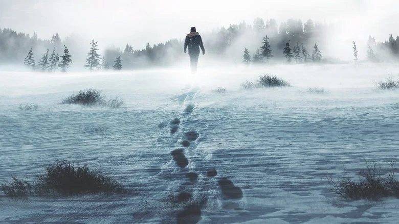 Alone Season 13 Release Date & Streaming Info