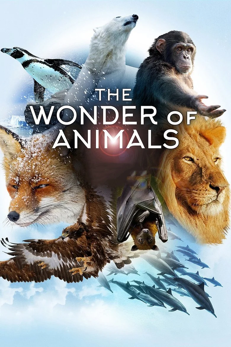 The Wonder of Animals Next Season Release Date & Streaming Info
