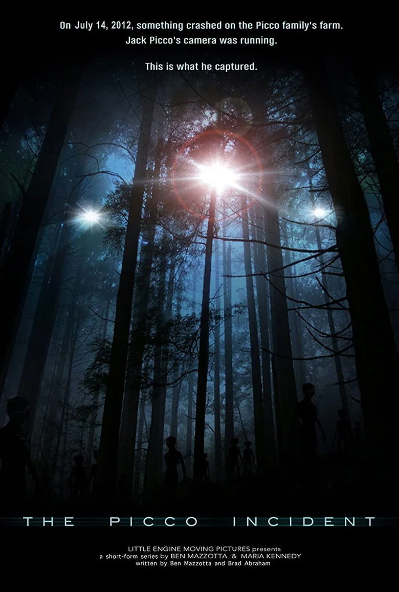The Picco Incident - Season 1 - Cast & Crew | Bingebase